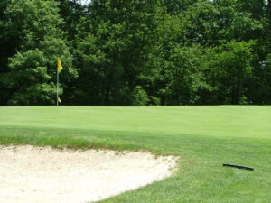 Course Tour and Details | Buffalo Golf Course